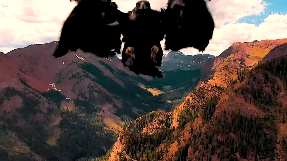 Watch Bird Attack Drone in CO Skies - Videos from The Weather Channel