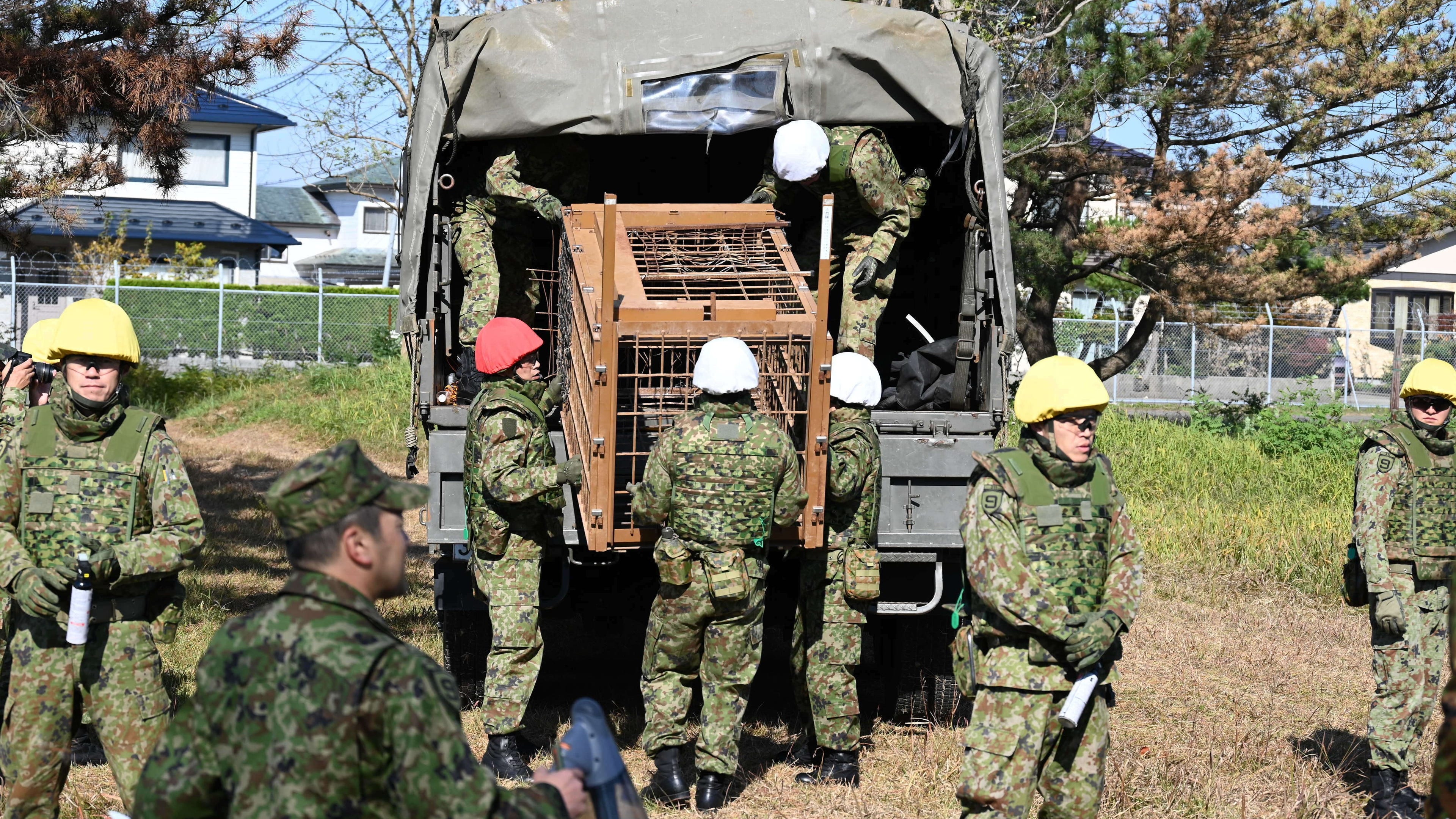 Japanese Troops Try To Stop Bear Attacks | Weather.com