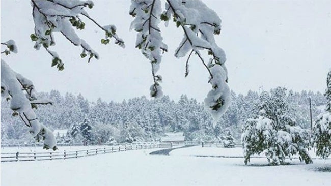 Spring Storm Dumps 20 Inches of Snow Across Montana | The Weather Channel