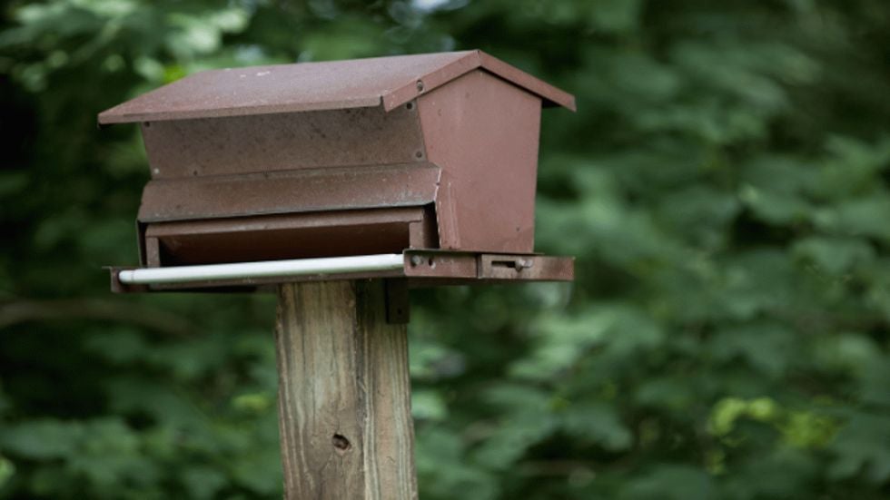 How To Build A Bird Feeder The Weather Channel