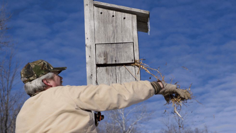 How to Build A Wood Duck Nest Box | The Weather Channel