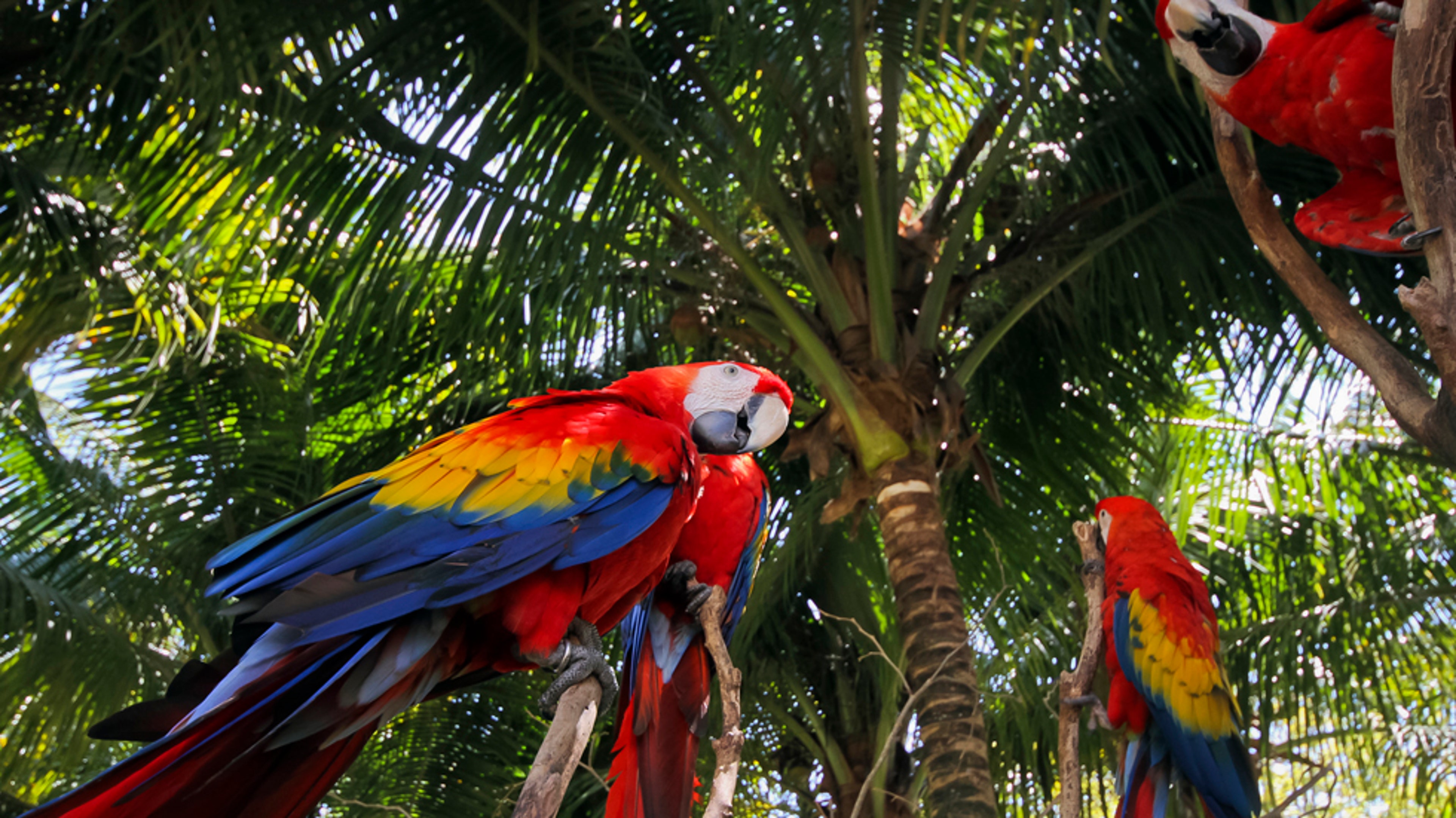 Secrets of Cancun: 10 Unique Mexican Experiences (PHOTOS) | The Weather ...