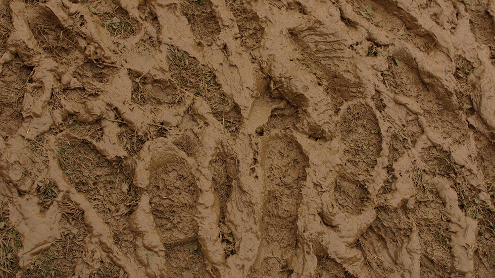 Mud: Nature's First Dietary Supplement? | The Weather Channel