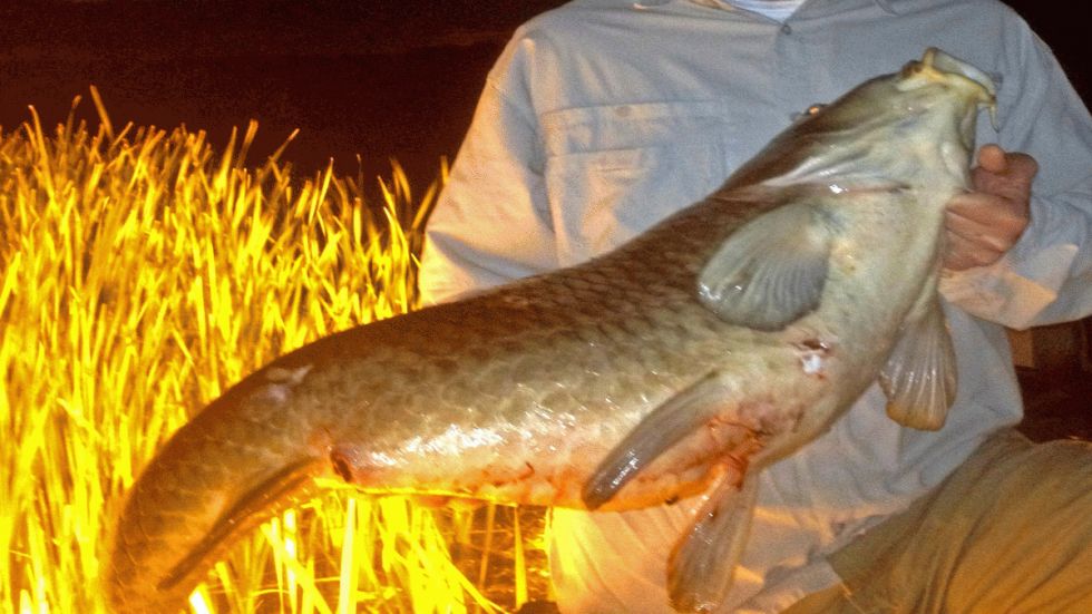 Get a Big Catch Nightfishing | The Weather Channel