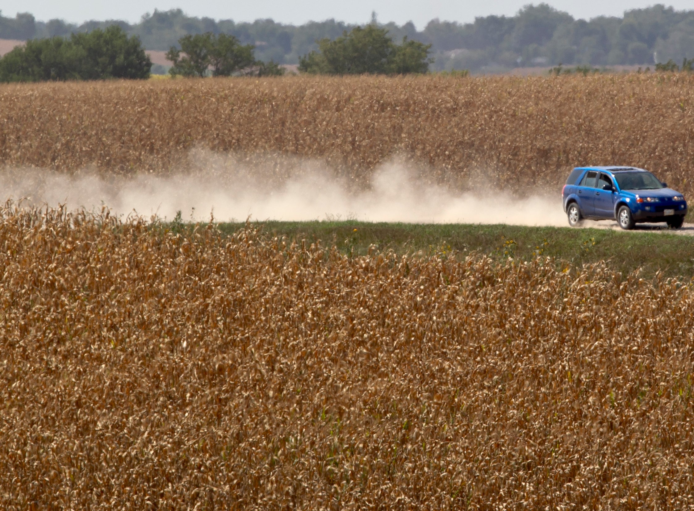 Drought Hinders Prairie Chicken Recovery | The Weather Channel