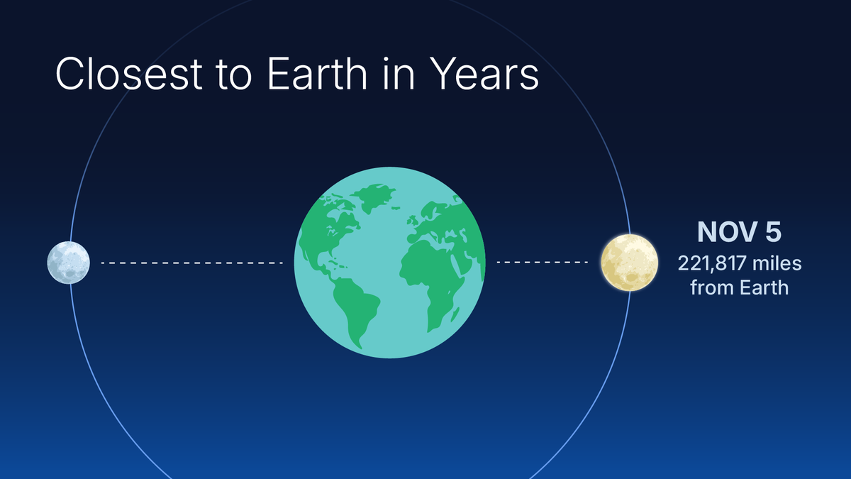 2025 Beaver Moon: When You Can See November’s Full Moon | Weather.com