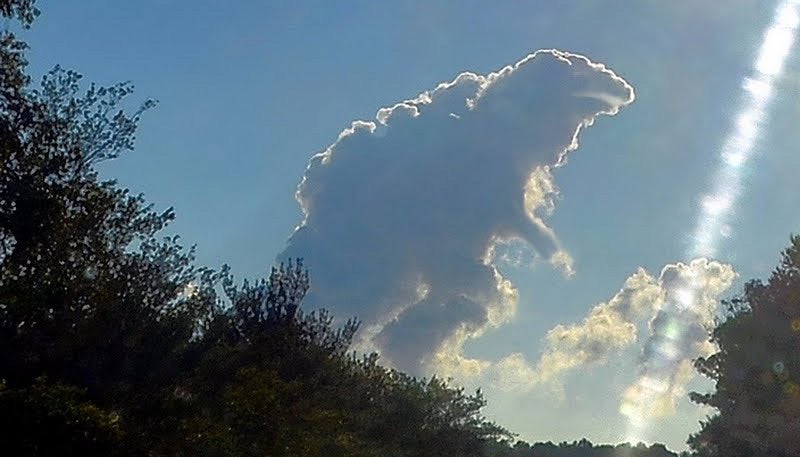 Large Cloud Looks Like Famous Monster | The Weather Channel
