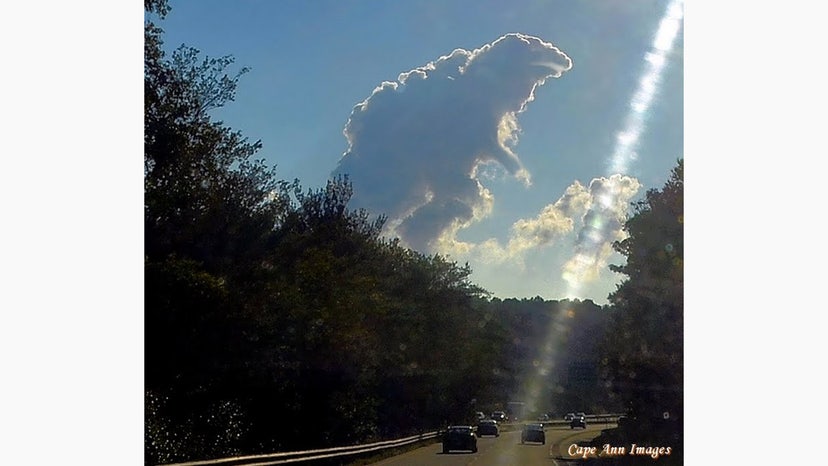 Large Cloud Looks Like Famous Monster | The Weather Channel