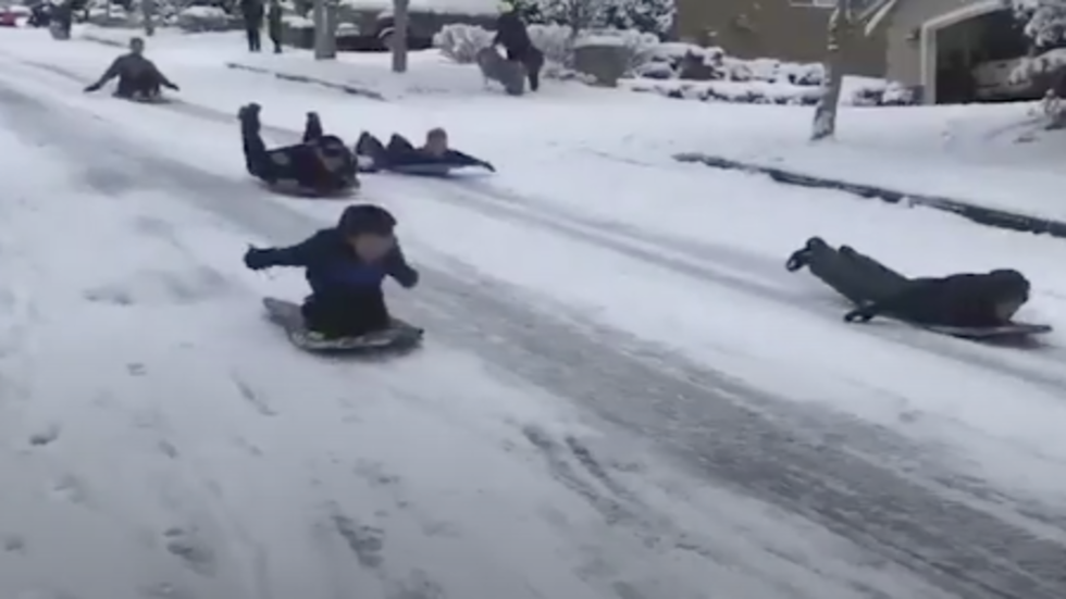 Cops Chase Kids ... on Sleds - Videos from The Weather Channel