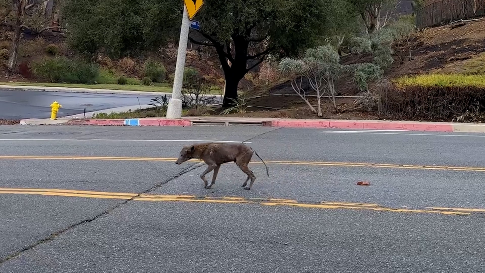 10-Day Weather Forecast for Tehachapi, CA - The Weather Channel ...