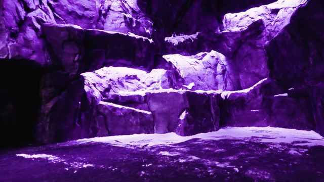 TCU’s New 'Snow Recovery Room' Is Ready For Business | Weather.com