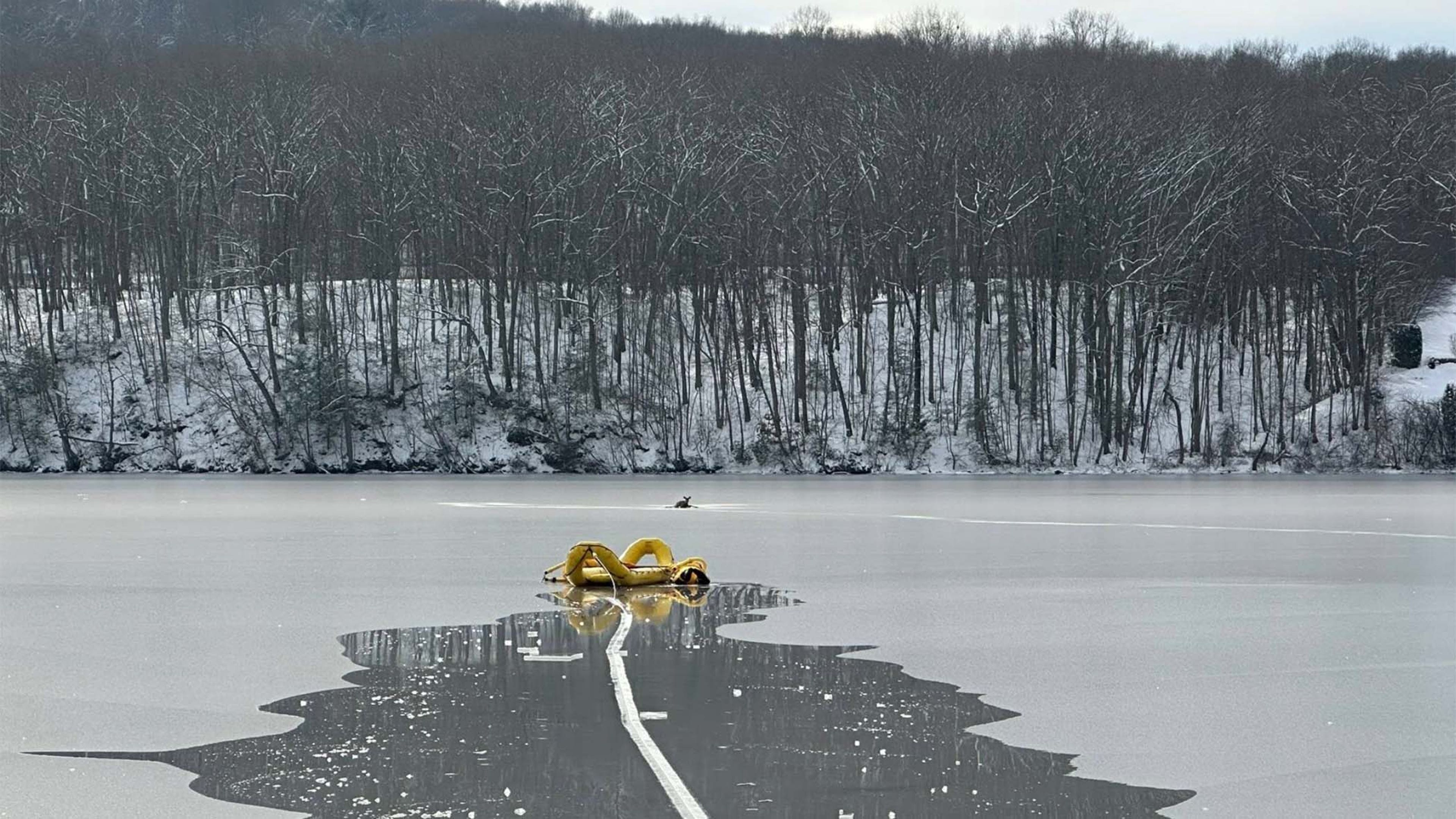 Fire Crews Rescue Exhausted Deer Stranded on Frozen Connecticut Lake ...