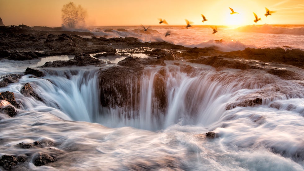Where the Forest Meets the Sea: Breathtaking Landscapes of Oregon ...