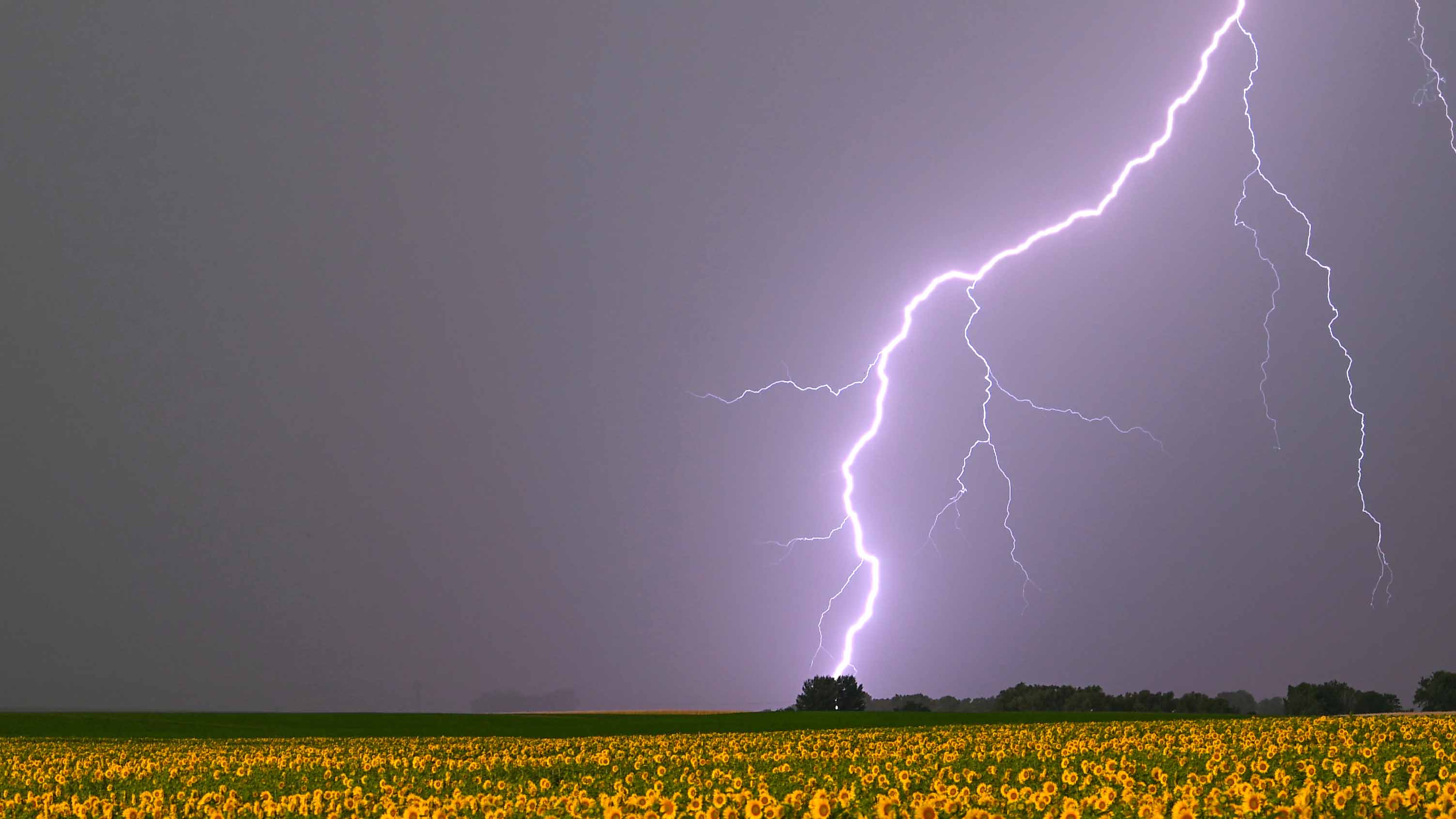 Rekordverdächtige Gewitternacht: Mehr als 100.000 Blitze | Weather.com