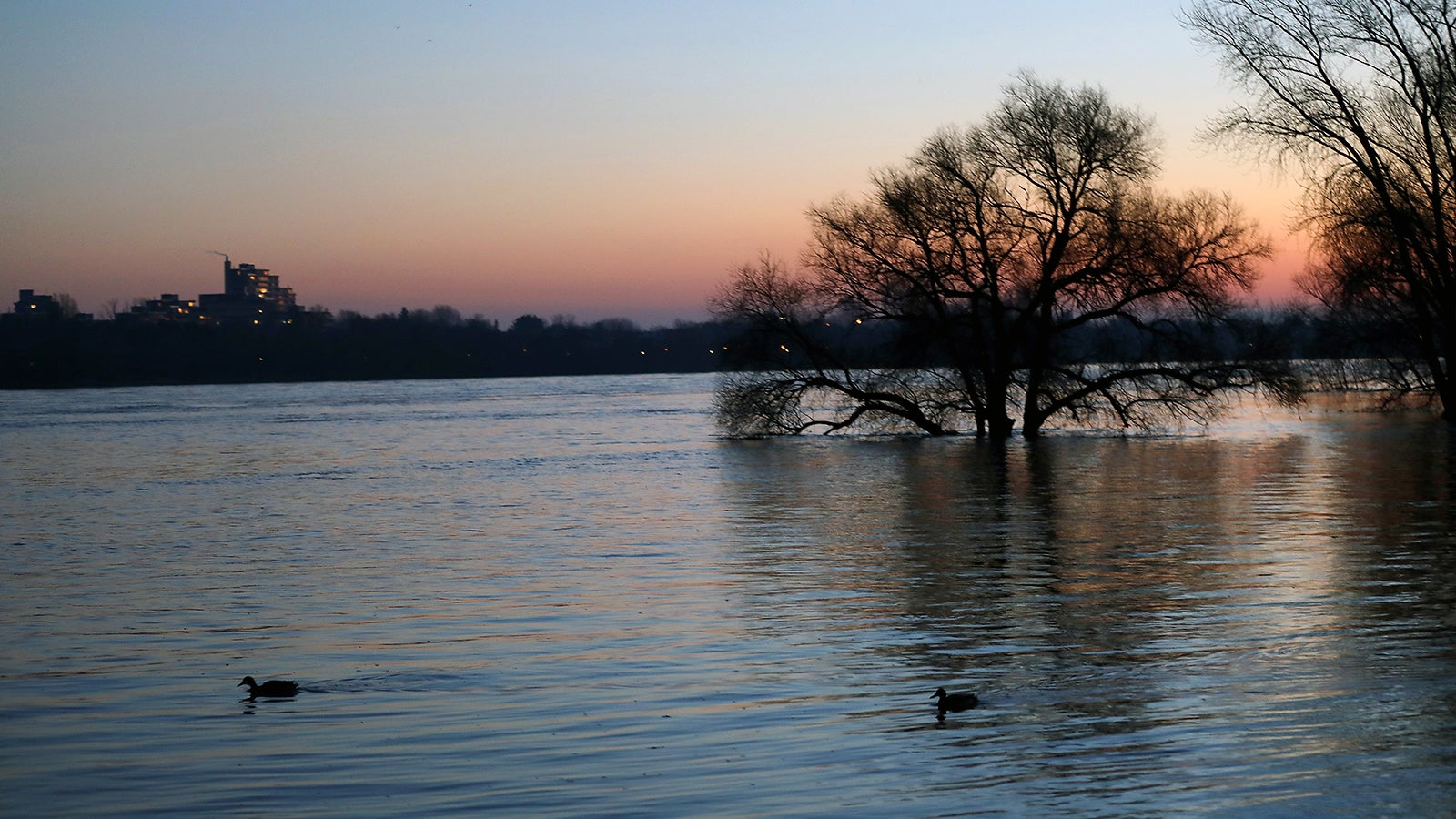 Entspannung der Hochwasserlage: Pegelstände an Rhein und Mosel sinken ...