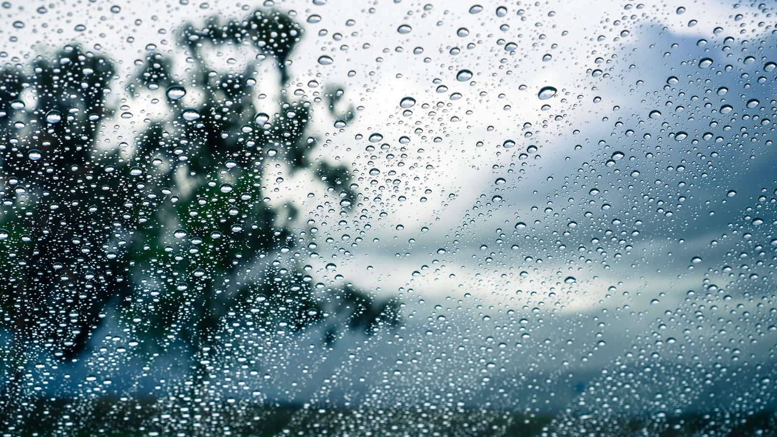 Regendruppels Wallpapers Hd Regen Am Fenster Bilderbook