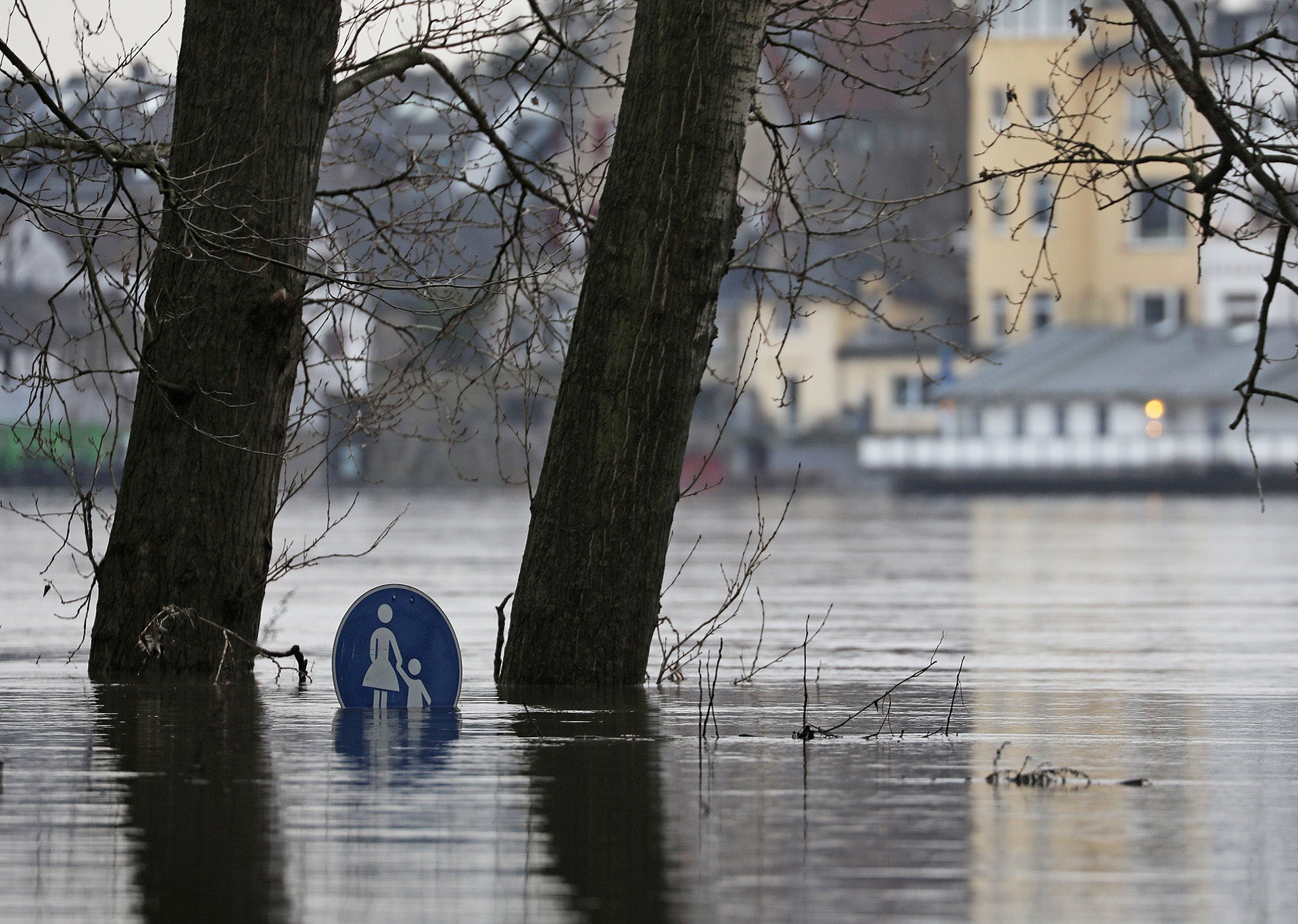 Nach Tauwetter: Rhein-Wasserstände steigen weiter | Weather.com