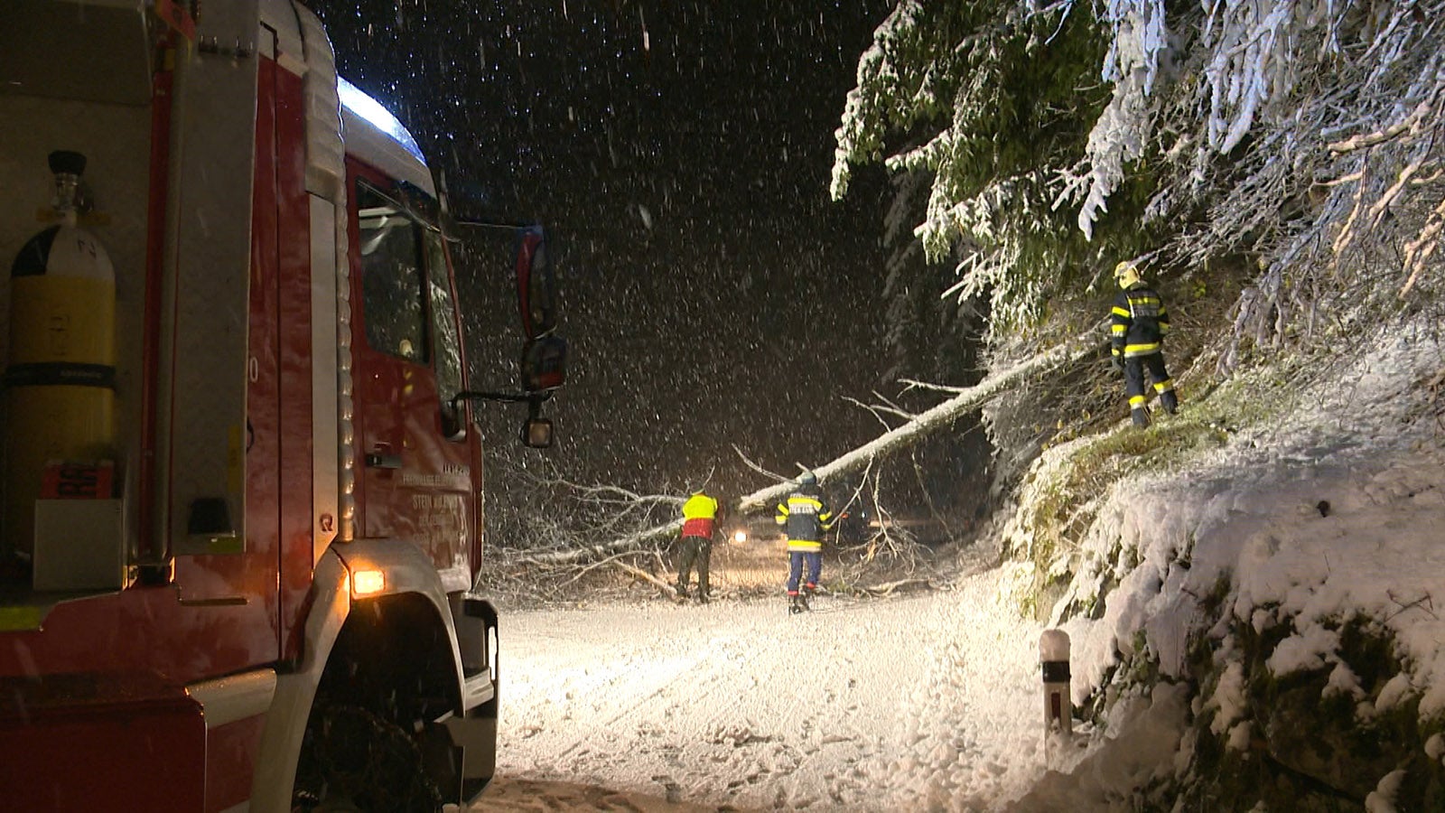 Bäume umgeknickt: Schneefälle in Alpen lösen Verkehrschaos aus | The ...