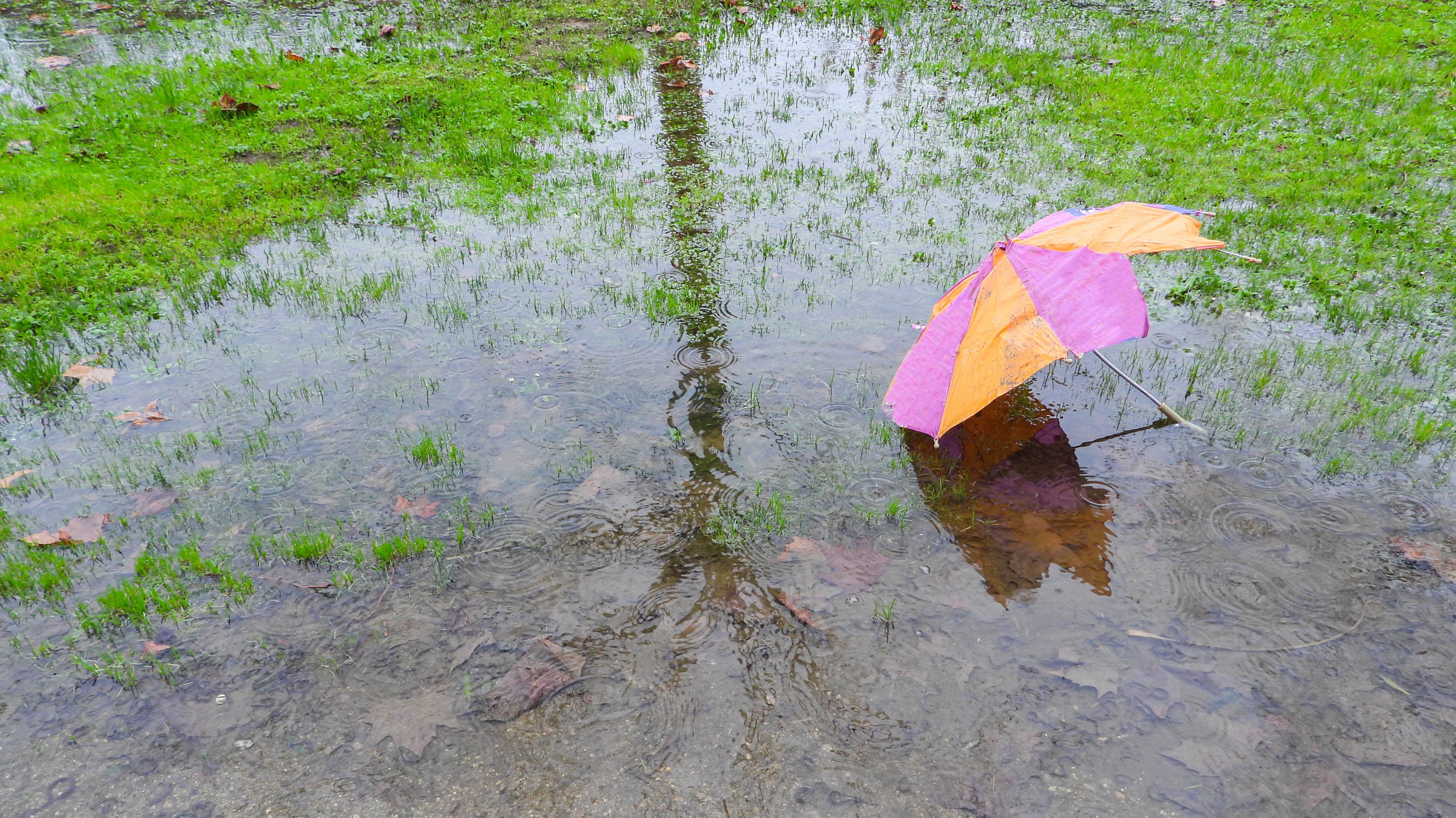 Starkregen: Was Sie darüber wissen sollten | Weather.com