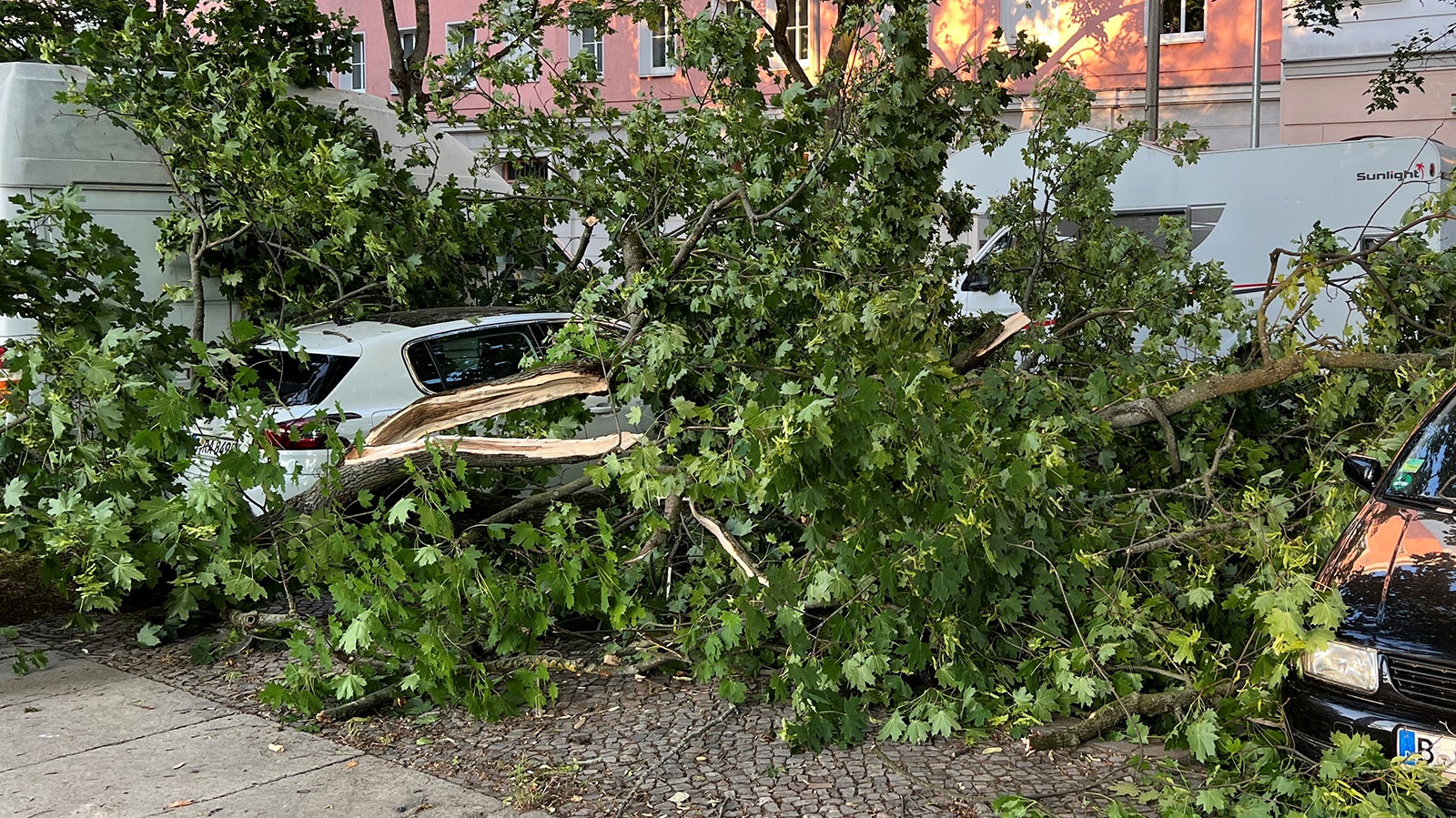Heftige Unwetter in Berlin: Tote, Schwerverletzte, Verkehrsinfarkt ...
