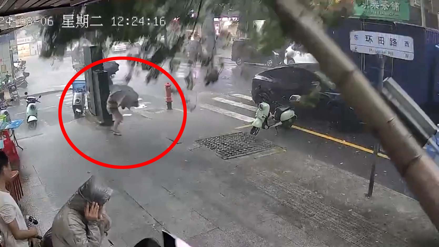 Im Starkregen wird Frau von Baum getroffen - Videos from The Weather ...