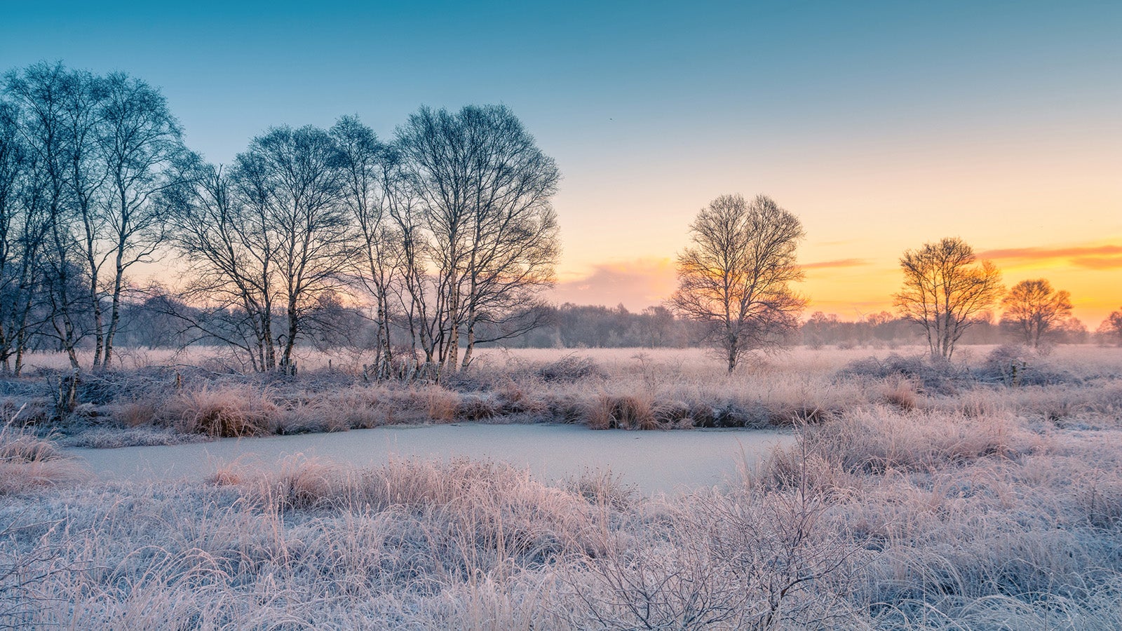 Wetter: Frost-Tage werden künftiger weniger | Weather.com