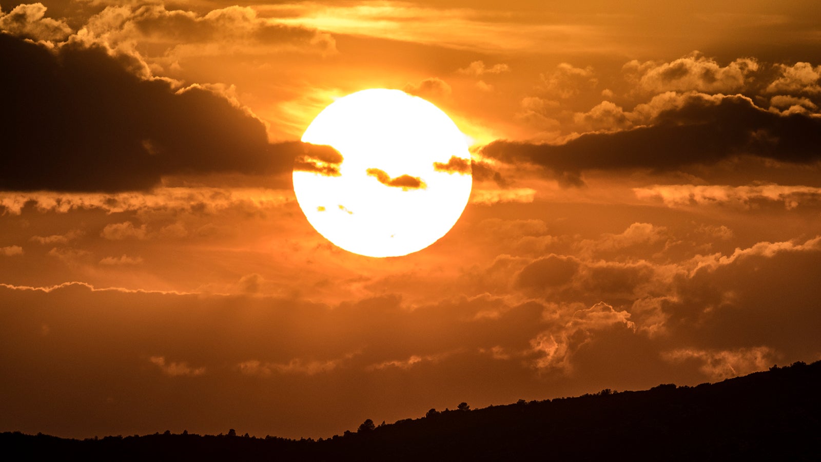 2024 war zu warm und zu nass | Weather.com