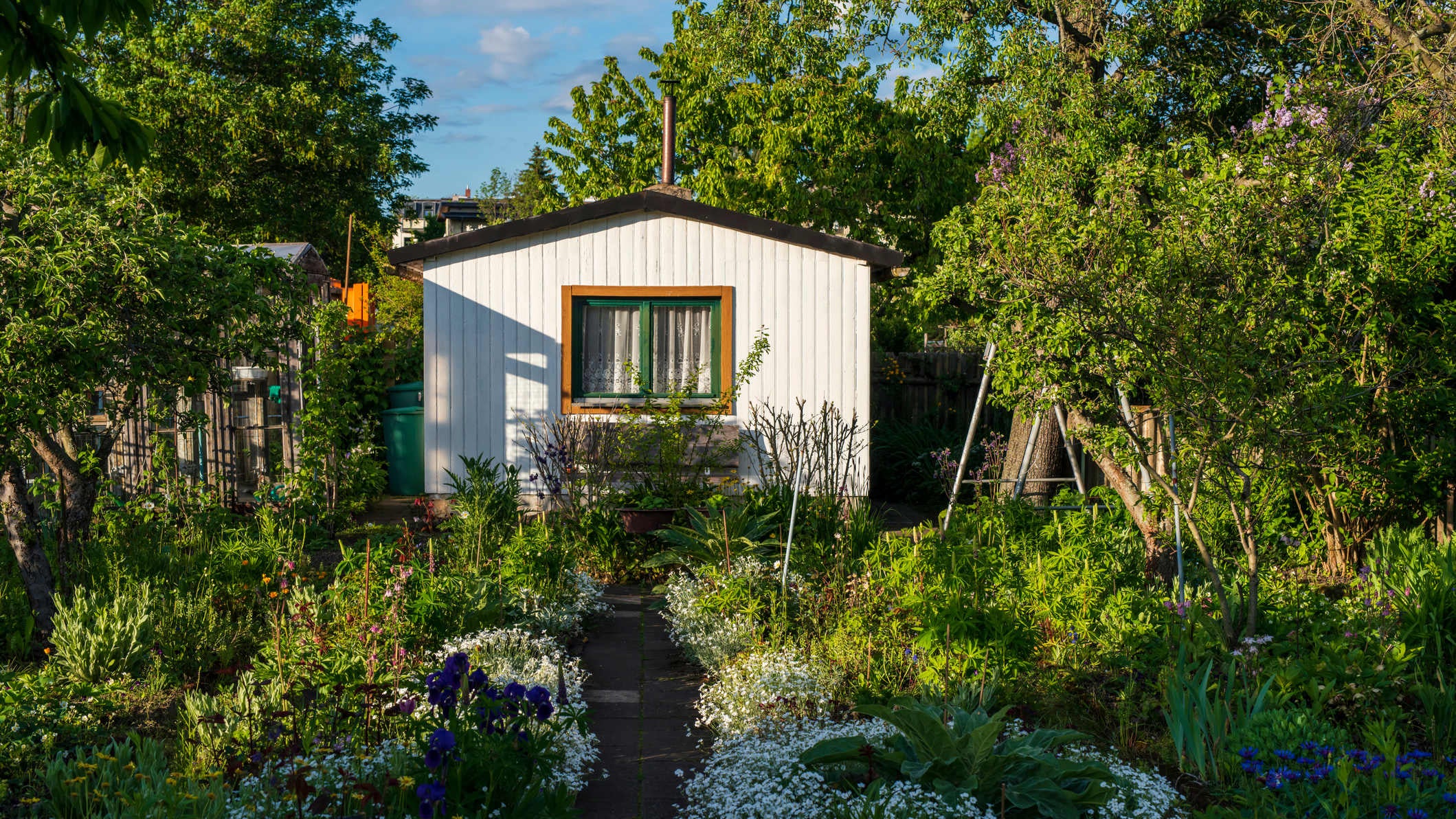 Schrebergarten: So kommen Sie an einen Kleingarten | Weather.com