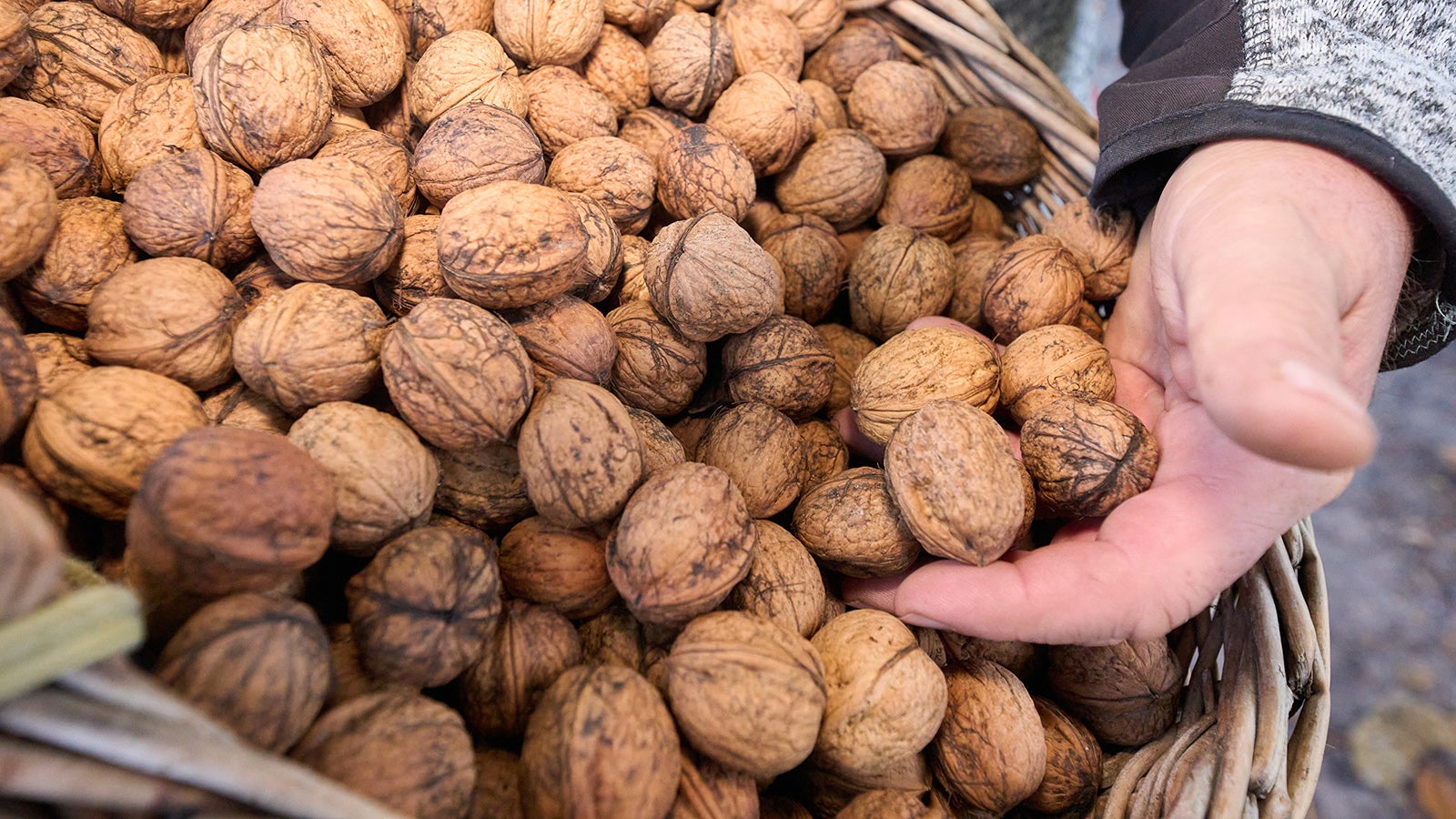 Frühlingshafter Herbst bessert Ernte teilweise auf | Weather.com