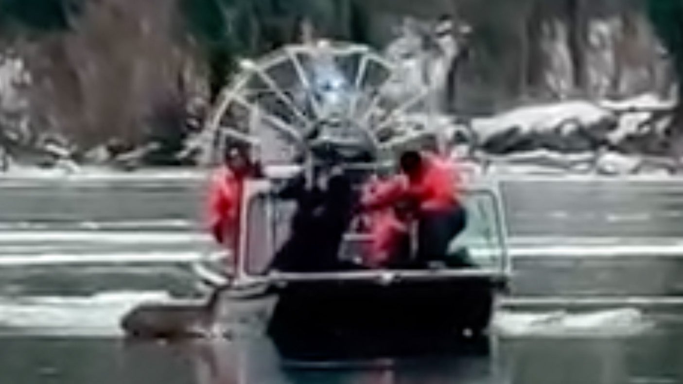 First Responders Rescue Deer From Frozen Potomac | Weather.com