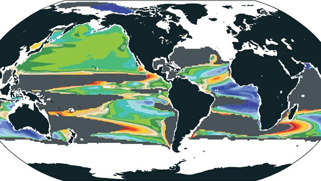 Bad News for Marine Life: The Ocean's Losing Oxygen Fast | The Weather ...