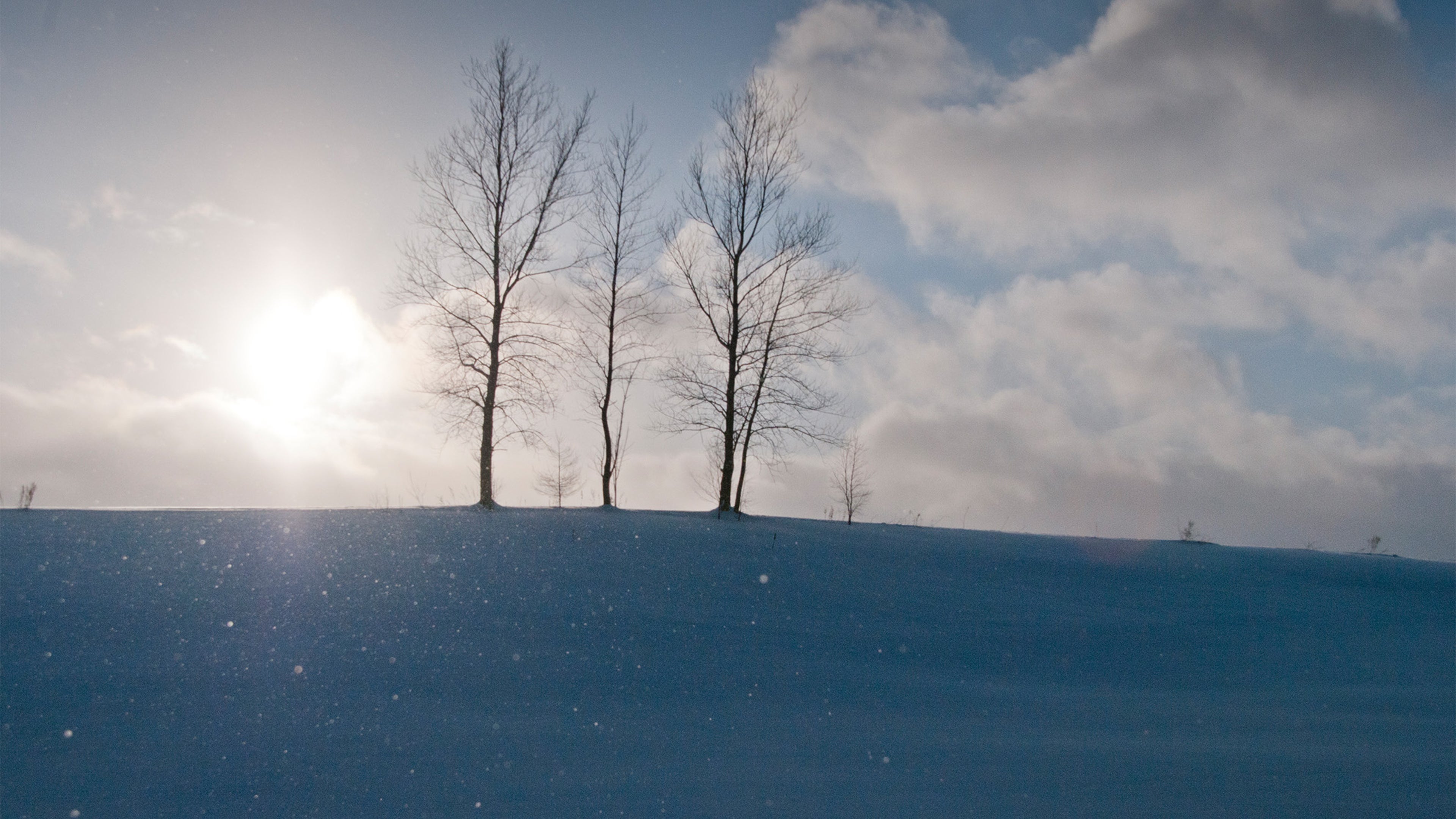 Weather Words: Diamond Dust | Weather.com