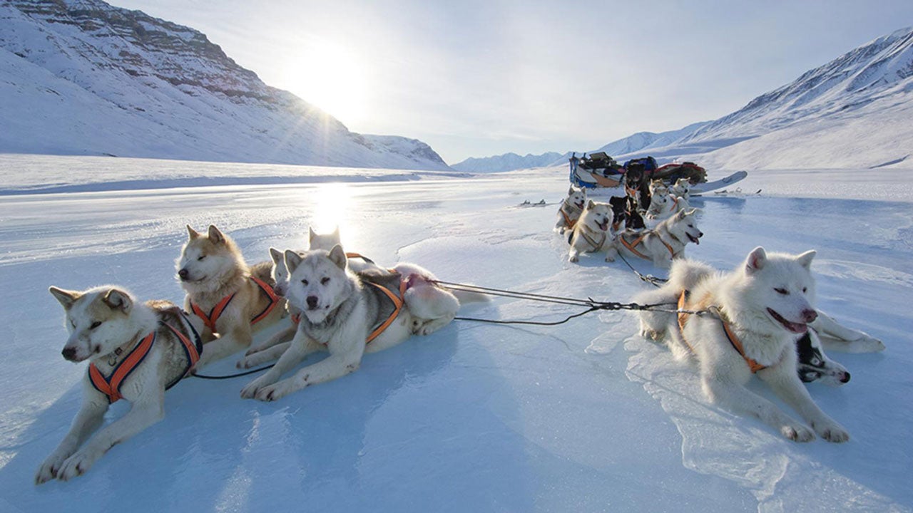 Photographer Captures Stunning Images of the World's Most Remote Dog ...