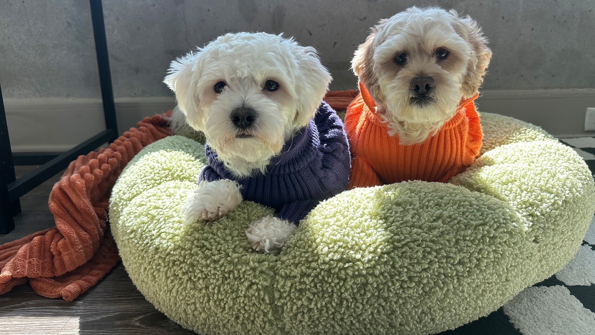 Weather Buddies: 'DD & MM' | Weather.com