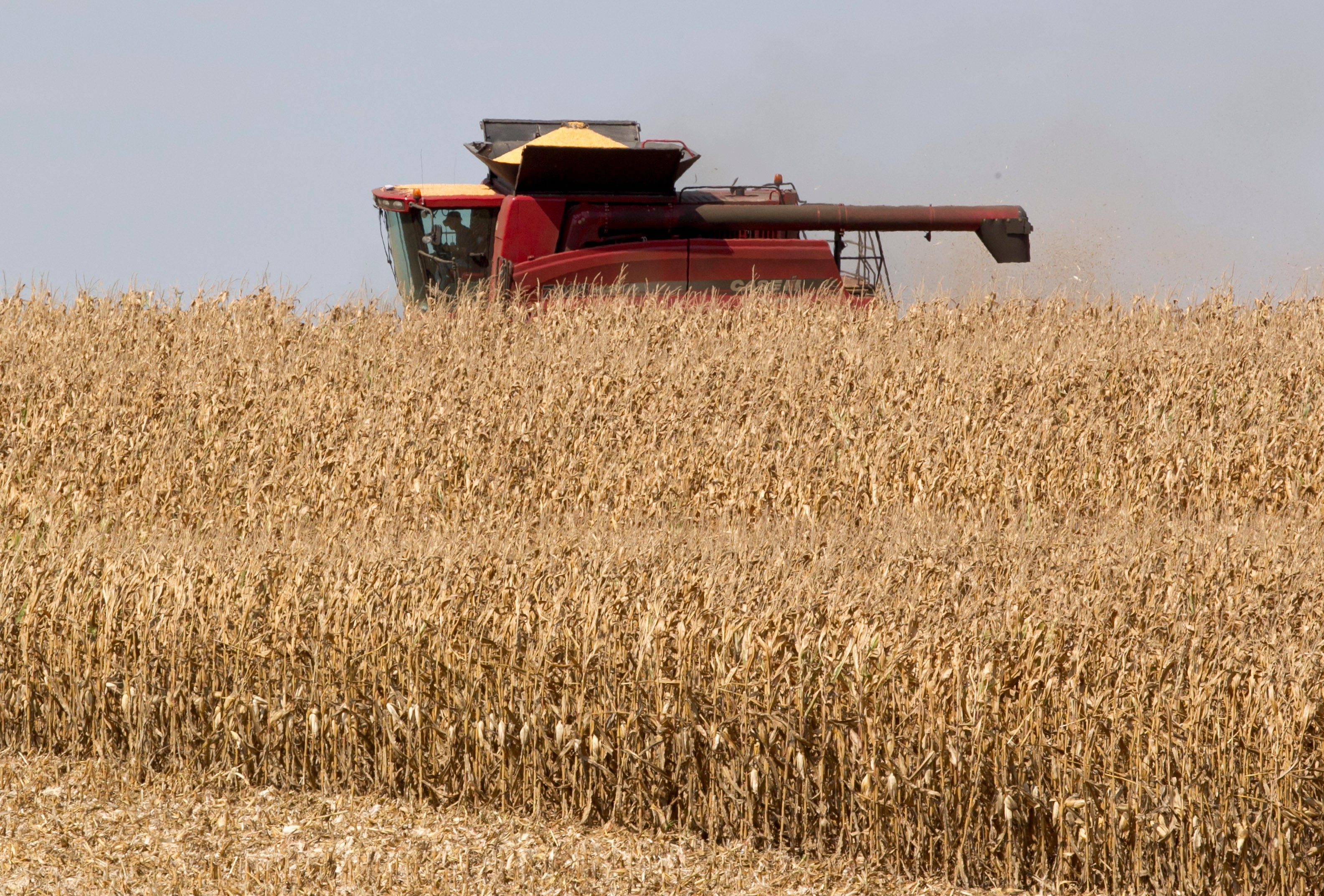 Two Farmers Teamed Up to Take on Isaac | The Weather Channel