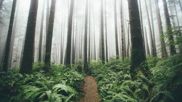 Capturing Nature and Adventure in the Pacific Northwest (PHOTOS) | The ...