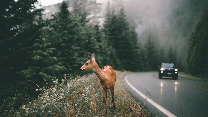 Capturing Nature and Adventure in the Pacific Northwest (PHOTOS) | The ...