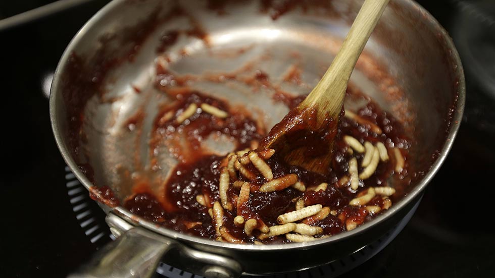 Odd Thanksgiving Menu: New Orleans Audubon Insectarium Serves Bugs ...