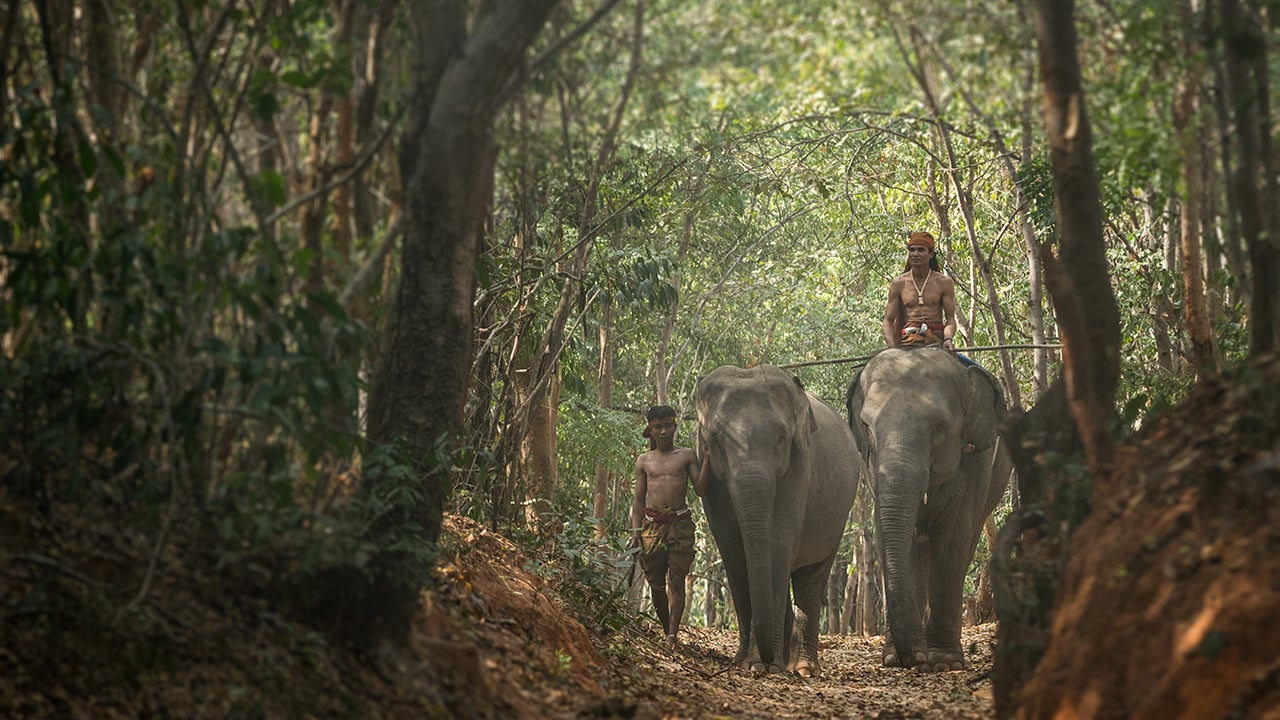 Inside the Thai Village of Elephant Catchers (PHOTOS) | The Weather Channel