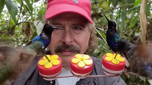 A Homemade Hat For Hummingbirds - Videos from The Weather Channel