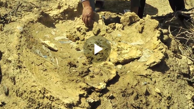 This Treasure Trove Is In Danger | The Weather Channel