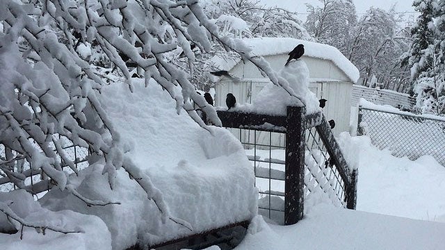 Late-May Snow Spoils Spring in at Least Seven States | The Weather Channel