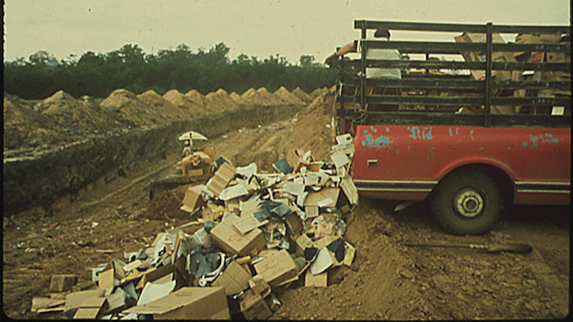 Weather Words: Earth Day | Weather.com