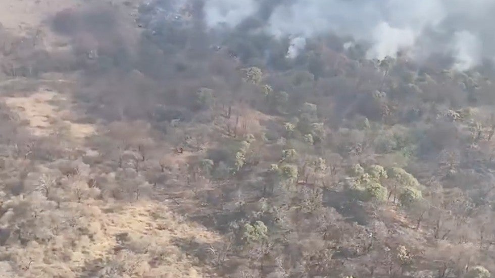 Air Quality Concerns as Forest Fire Rages in Mexico - Videos from The ...