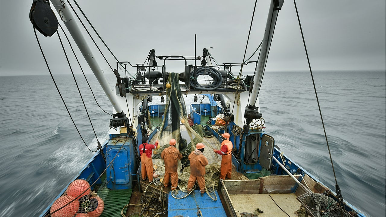 Fishing Wars Will Increase as Climate Change Drives Fish to Cooler But ...