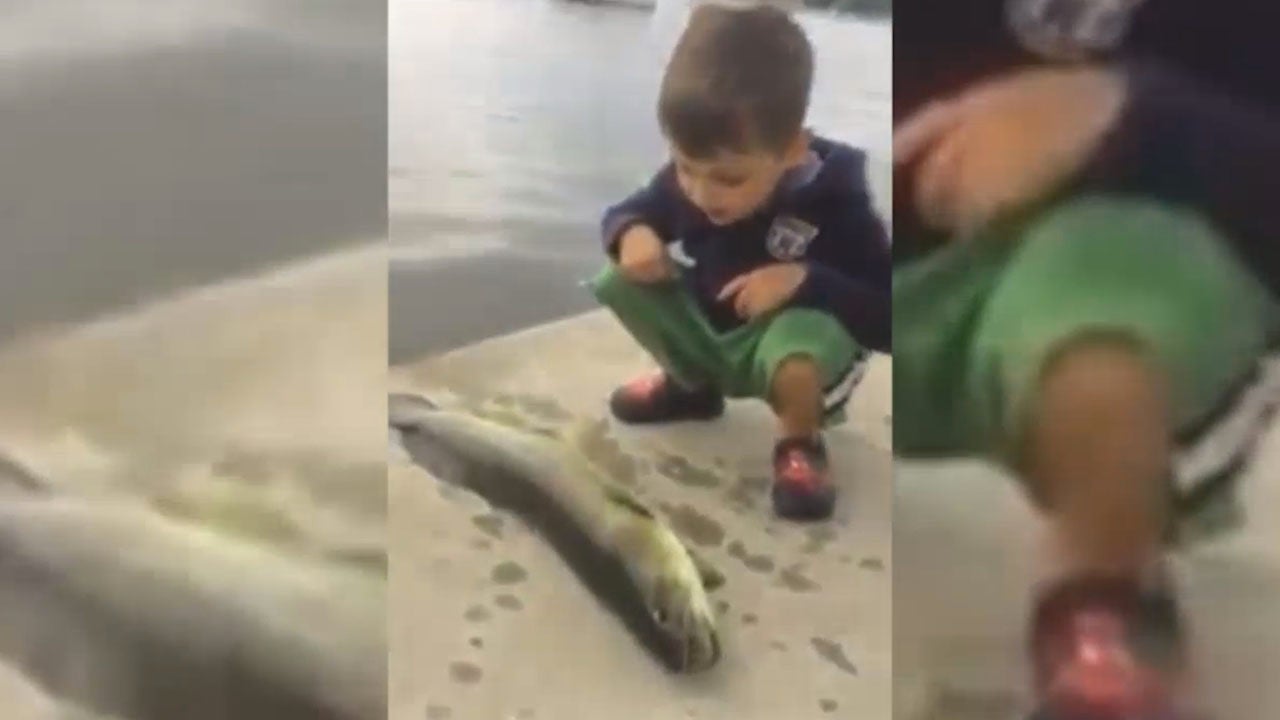 Jumping Fish Slaps Young Boy in the Face | The Weather Channel