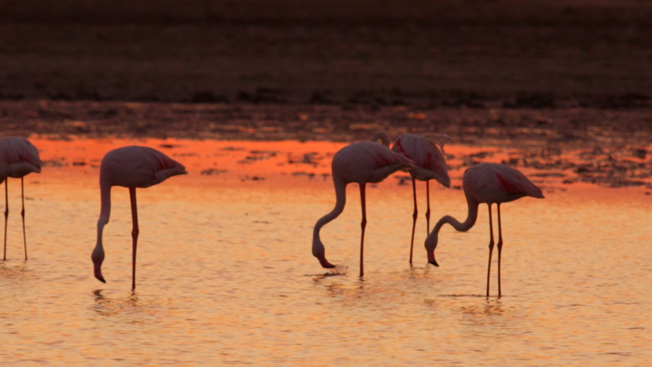 Weather Forecast and Conditions for Anderson, South Carolina 29621 ...