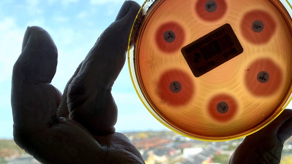 ‘Flesh-Eating’ Bacteria Connected To Hurricanes - Videos from The ...