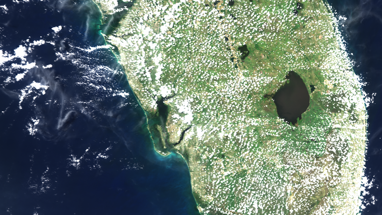 Florida's Lake Okeechobee Showing Signs of Increased Blue-Green Algae ...
