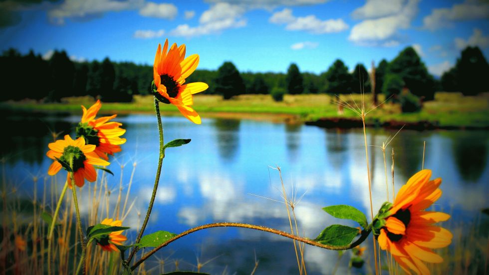 Springing a surprise: Unusual facts about the new season | The Weather ...